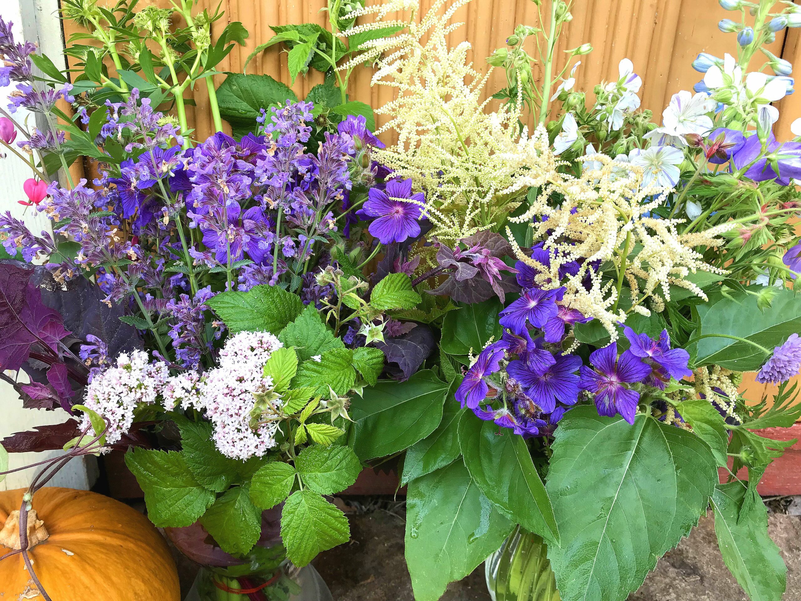 sarabackmo_flowers_blommor - Sara Bäckmo