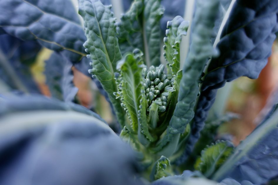 Frörabatt till bloggläsare! - Sara Bäckmo