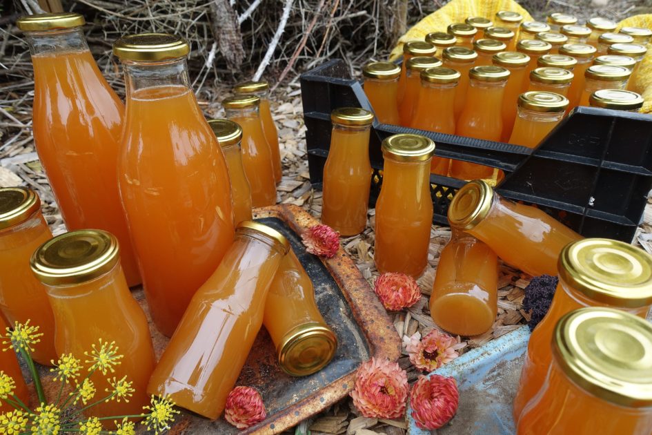 how-to-make-homemade-apple-juice-sara-s-kitchen-garden